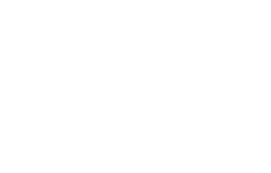PAZL GLOBAL KFT.