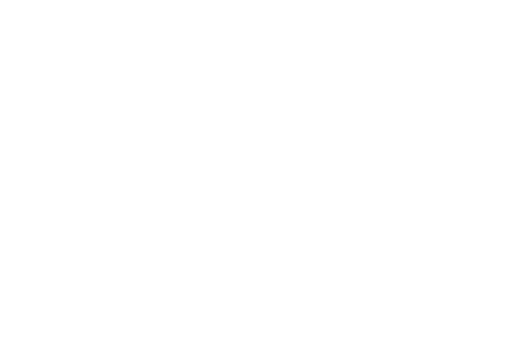 PAZL GLOBAL KFT.
